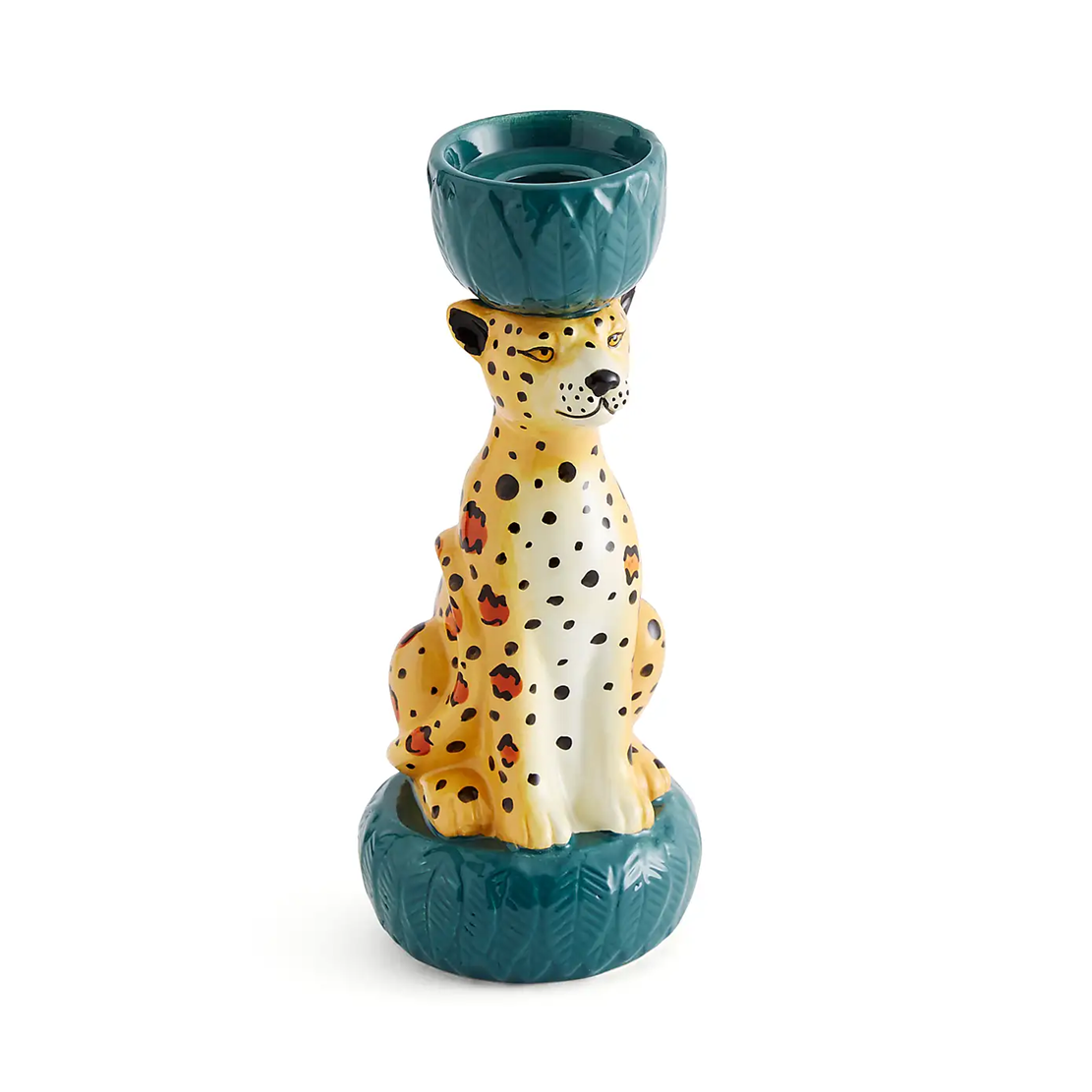 Dunelm x Natural History Museum 2025 | Ship Worldwide